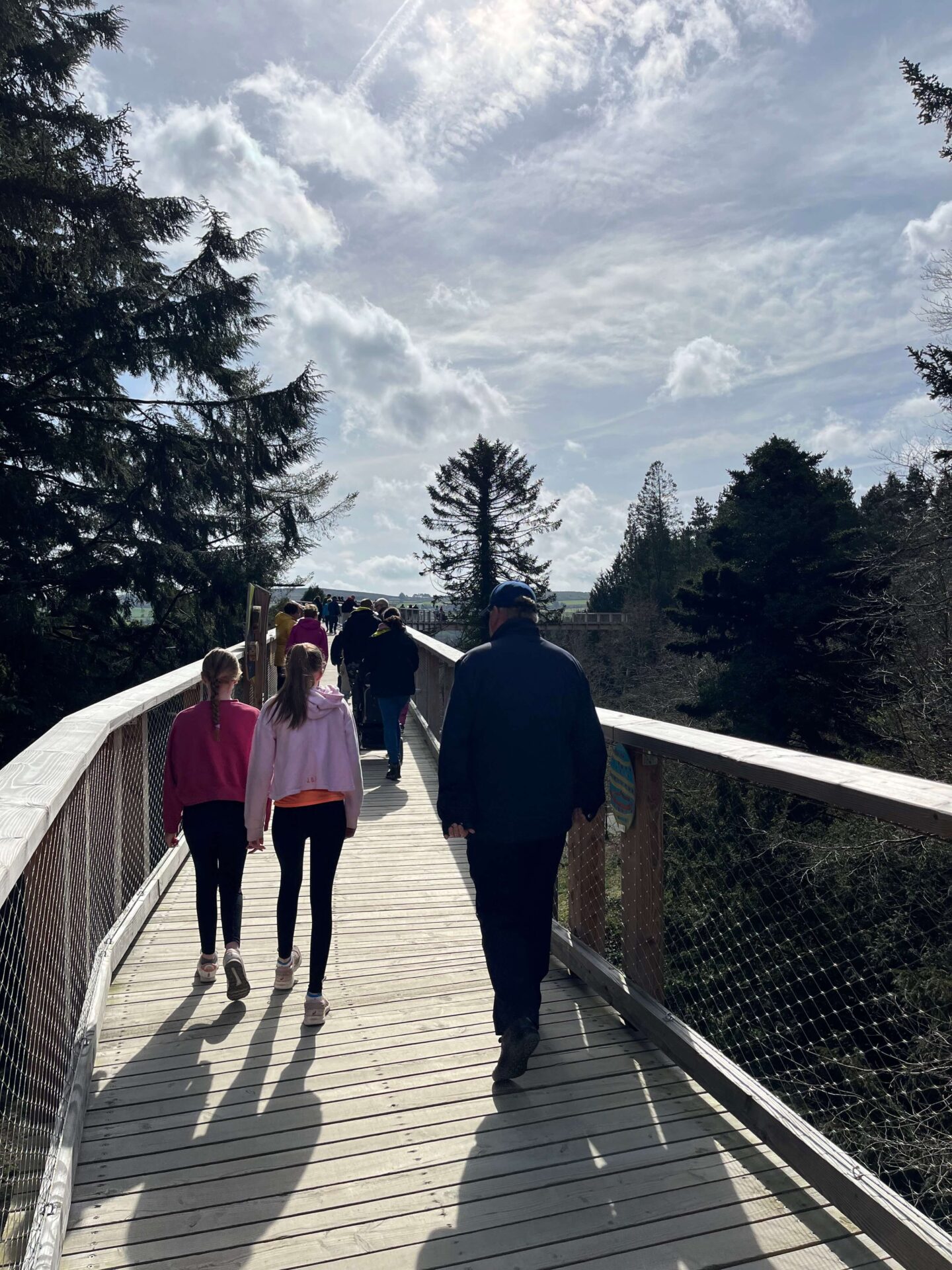 Beyond The Trees Wicklow | The Glendalough Hotel