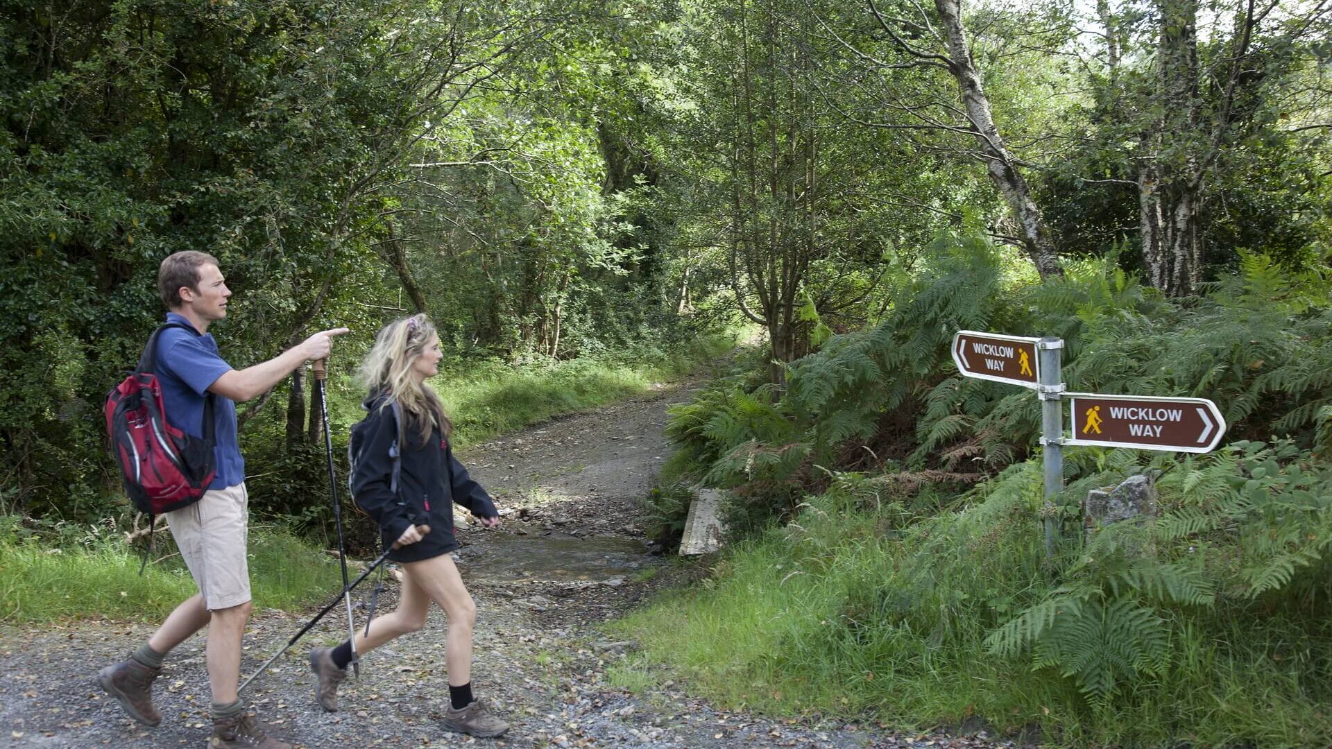 Moderate Walks in Glendalough | Short Walking Breaks